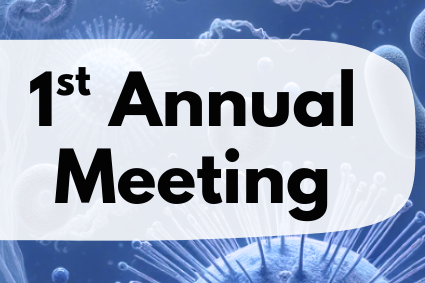 1st Annual Meeting yBIS 2024 Antwerp – Save the Date! – YoungBIS